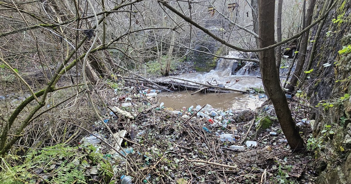 Râuri legendare din Hunedoara, distruse de oameni. Gropi de gunoi în ...