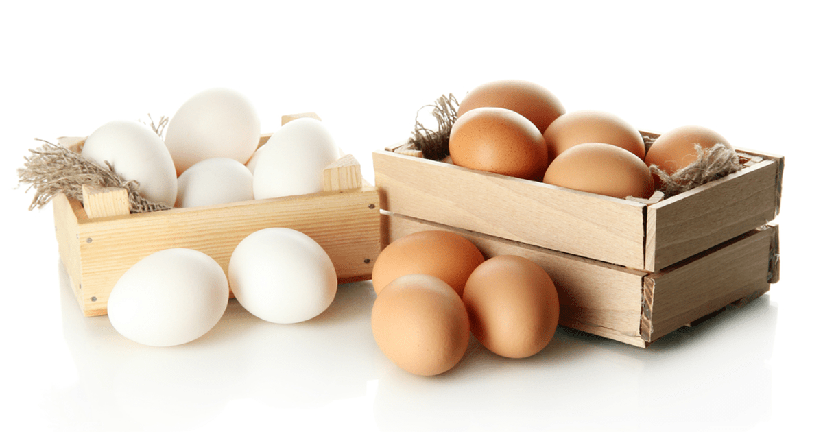 Diferențele dintre un ou de găină alb și unul maroniu. Influențează ...