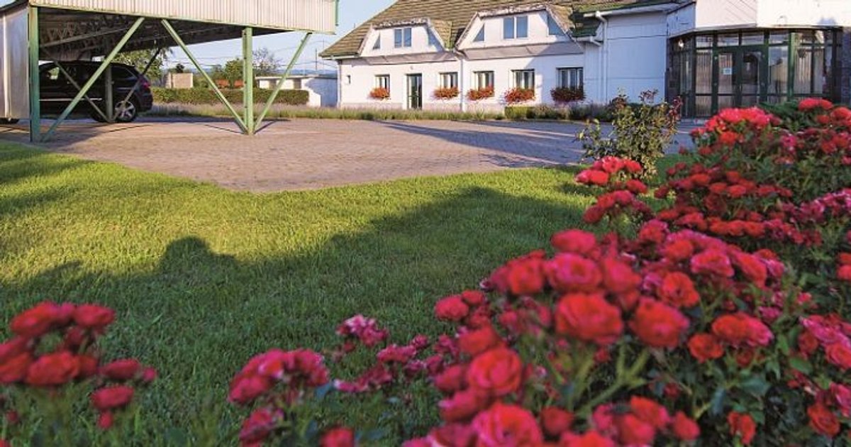 90 de ani de Fares. 90 de ani de sănătate din inima Daciei | adevarul.ro