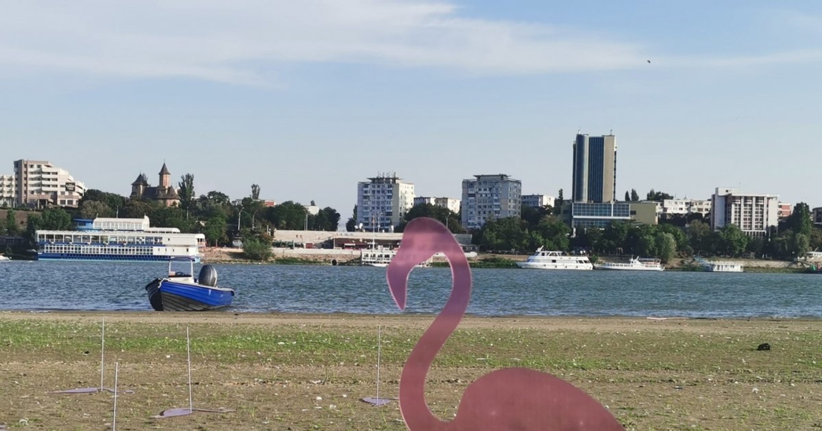 O colonie de flamingo roz a populat insula din mijlocul Dunării ...