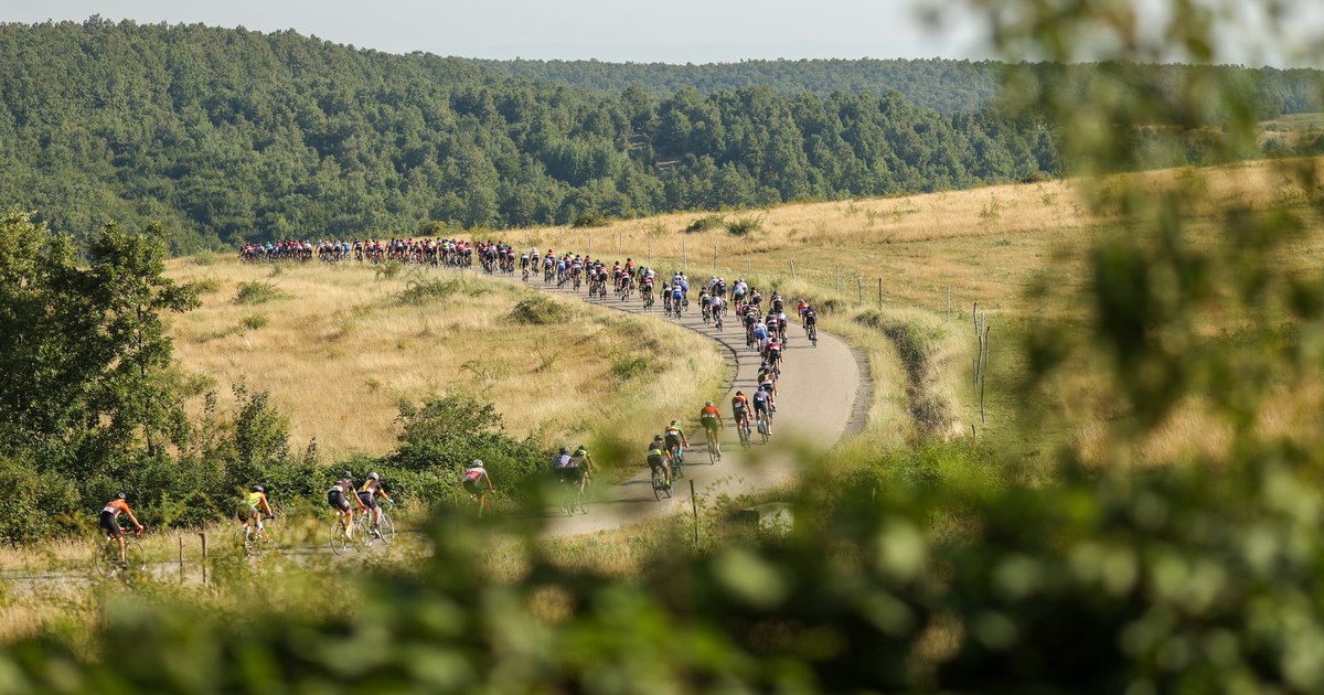 Timișul, din nou pe harta ciclismului. Cupa Max Ausnit, cea mai ...
