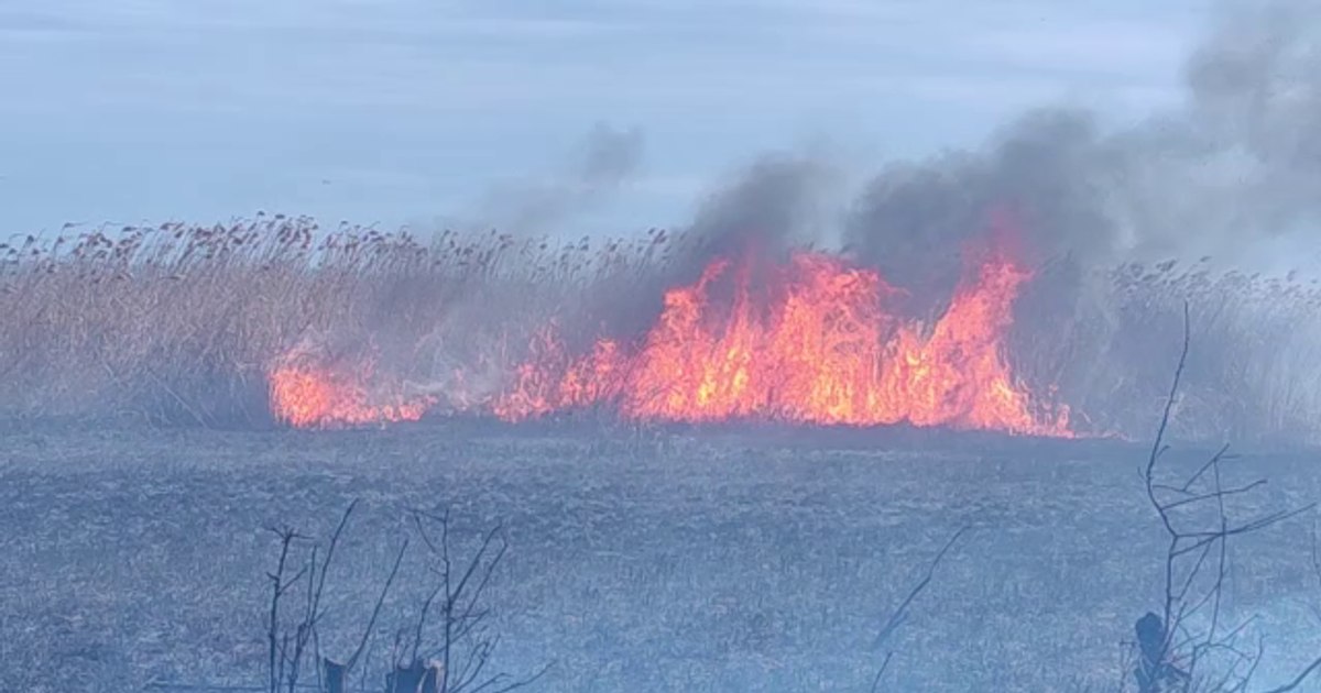 Incendiu în Rezervația Naturală Lacul Brateș din Galați. Au ars 15 ...