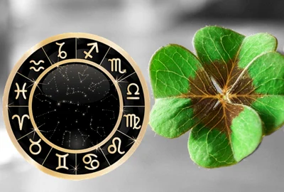 Zincul, responsabil de hormonul fericirii. Se găsește în alimente, nu ...