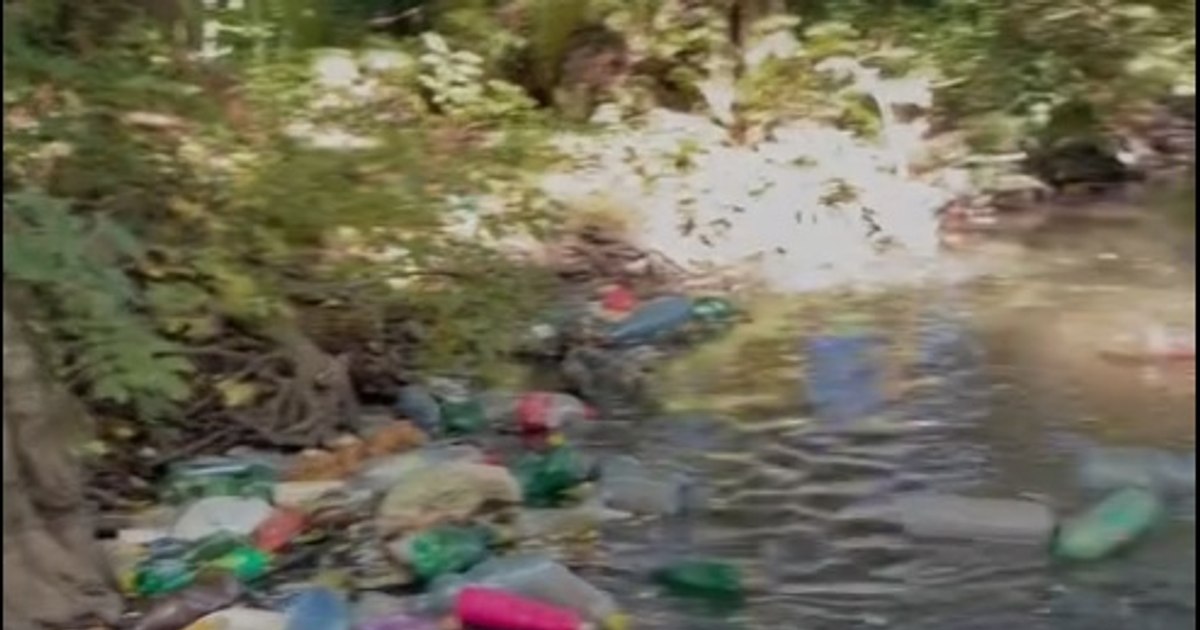 Râu cu păstrăvi, plin de gunoaie. Ecologist: „Este mizerie adunată din ...