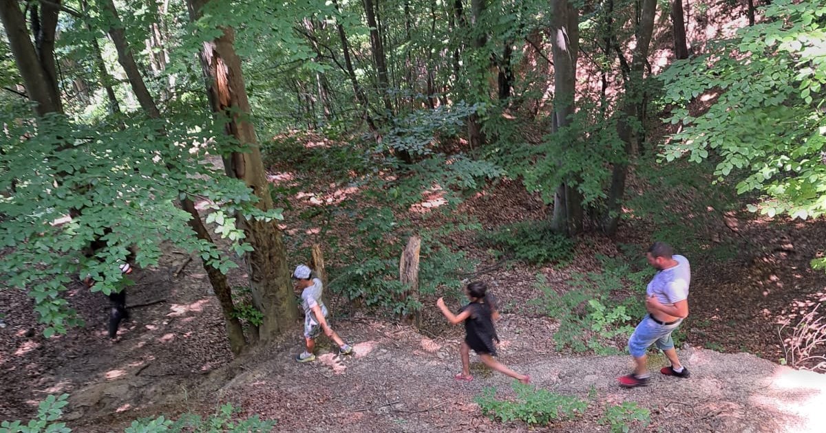 Chinul elevilor din satul Tufanu cu Icoană s-a încheiat. Mergeau către ...