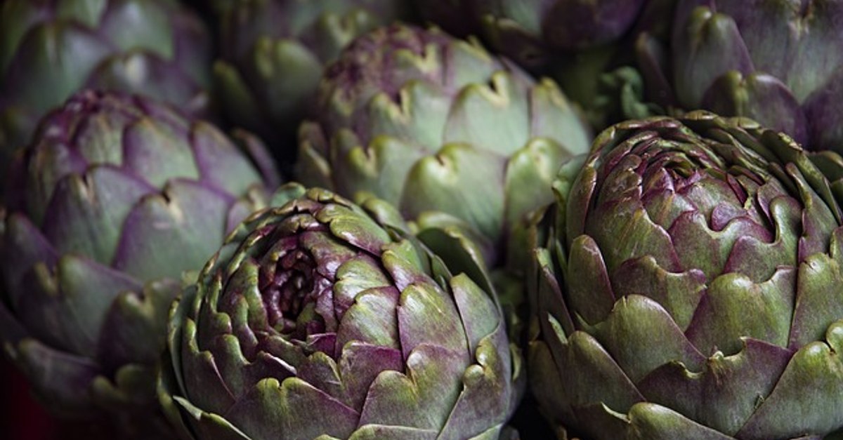 Anghinarea, o legumă mai puțin folosită la noi, este un izvor de calciu ...