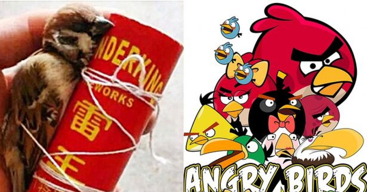 Copiii chinezi joacă „Angry Birds“ cu păsărele vii | adevarul.ro