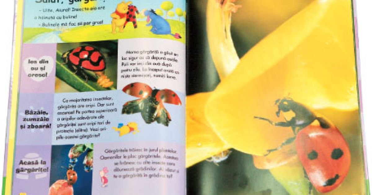 Ce nu ştiaţi despre insecte şi păianjeni | adevarul.ro