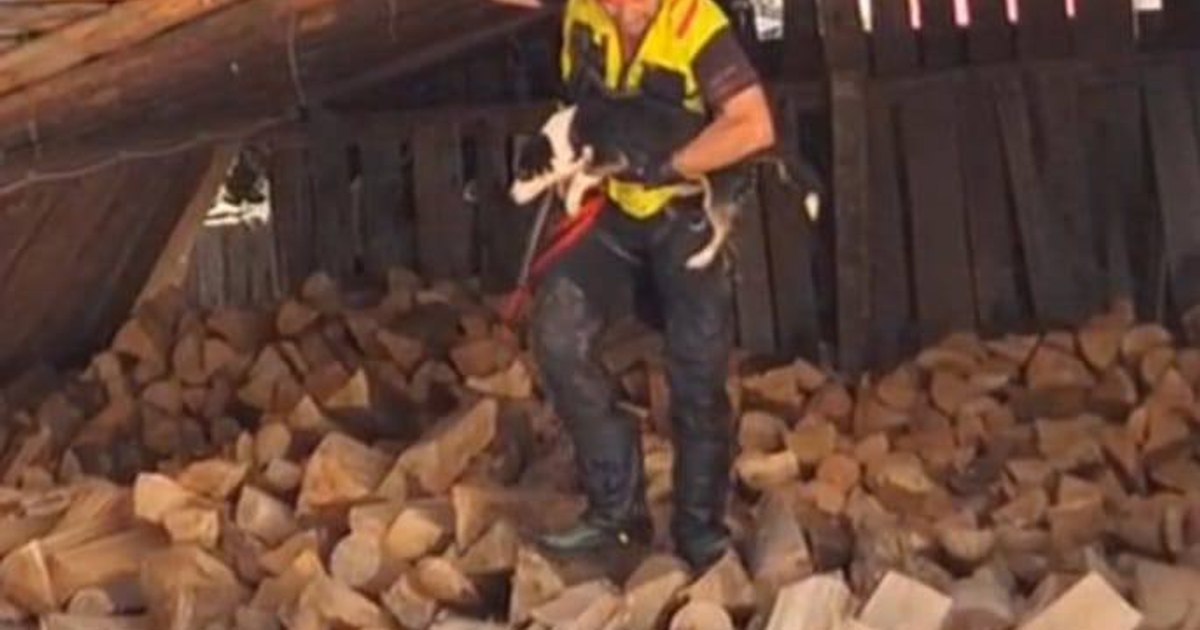 Relatarea devenită virală a unui salvator care a intervenit la Broșteni ...