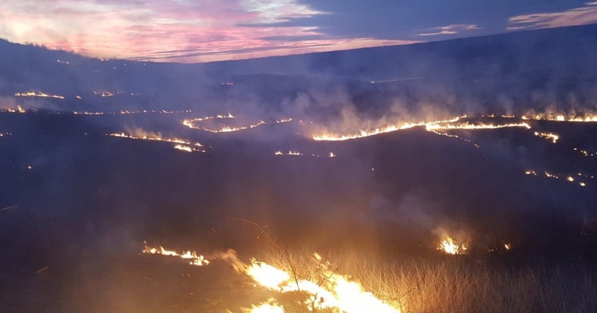 Aproximativ 100 de hectare de stuf şi vegetaţie uscată, făcute scrum în ...