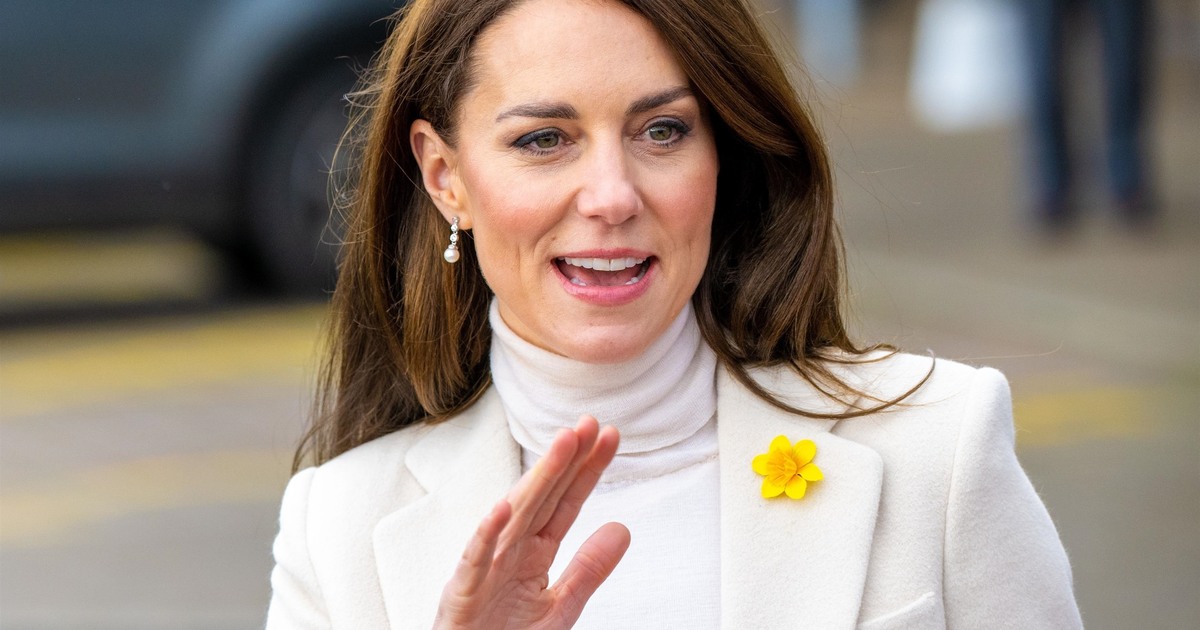 Zâna cea bună Kate! Ce gest superb a făcut Prințesa pentru o vedetă ...